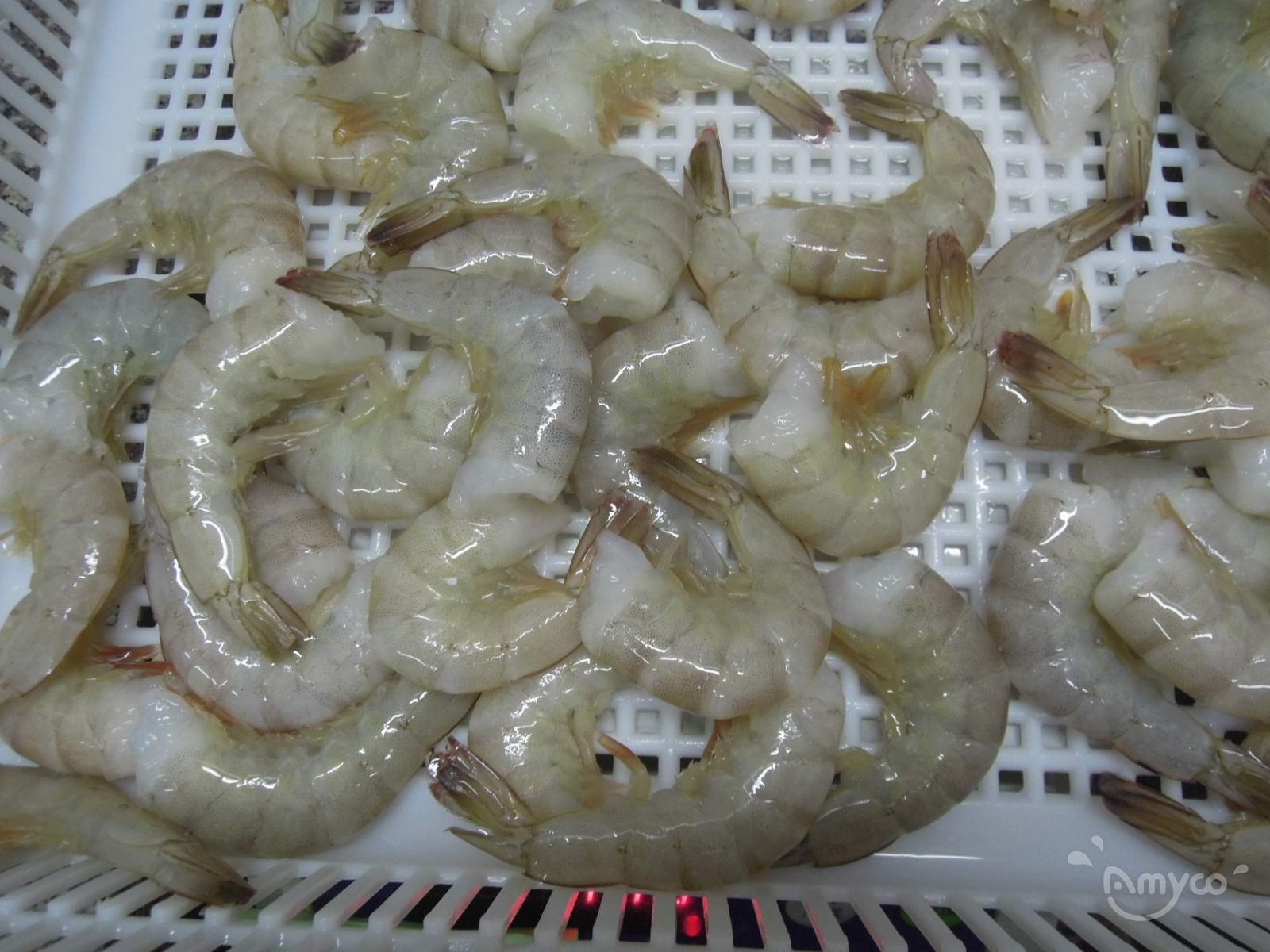 Roasted Eel | Amyco Seafoods-China Tilapia Supplier,Tilapia Producer ...